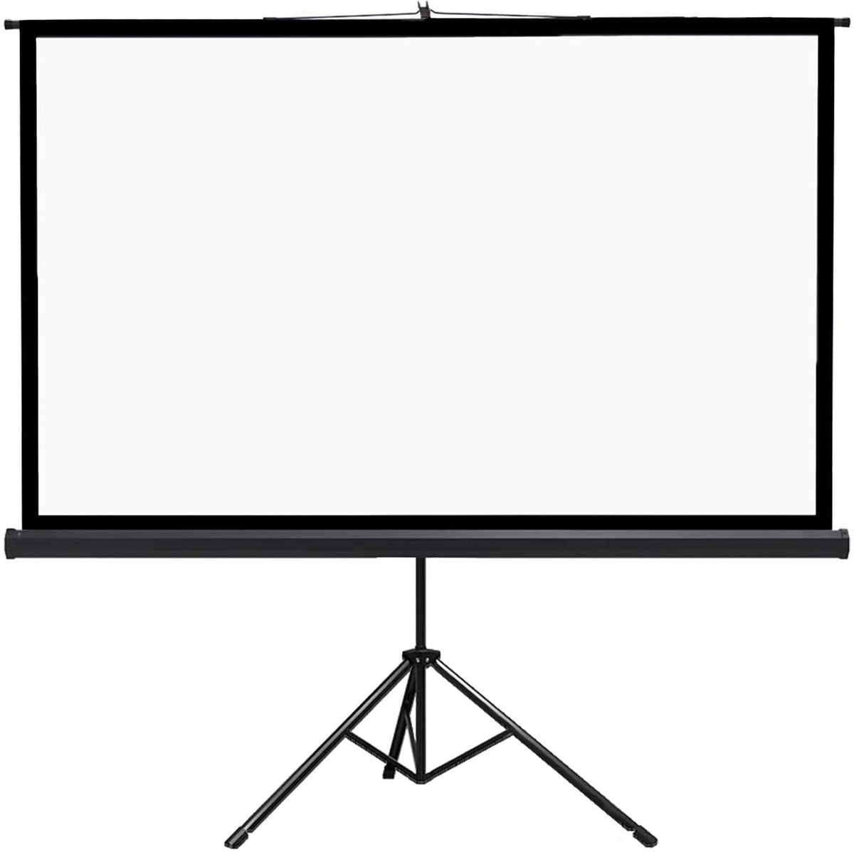 Portable Video Projection Screen 8 ft. x 8 ft. - Holland, MI - Taylor ...